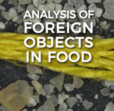 analysis of foreign objects in food cape town south africa | Food ...